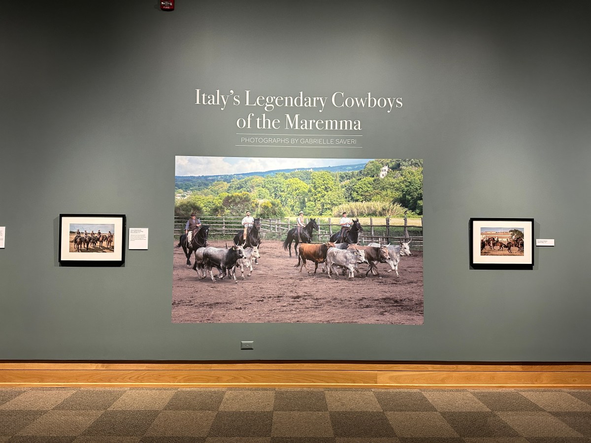 Exhibition Review: Italy’s Legendary Cowboys of the Maremma – The ...