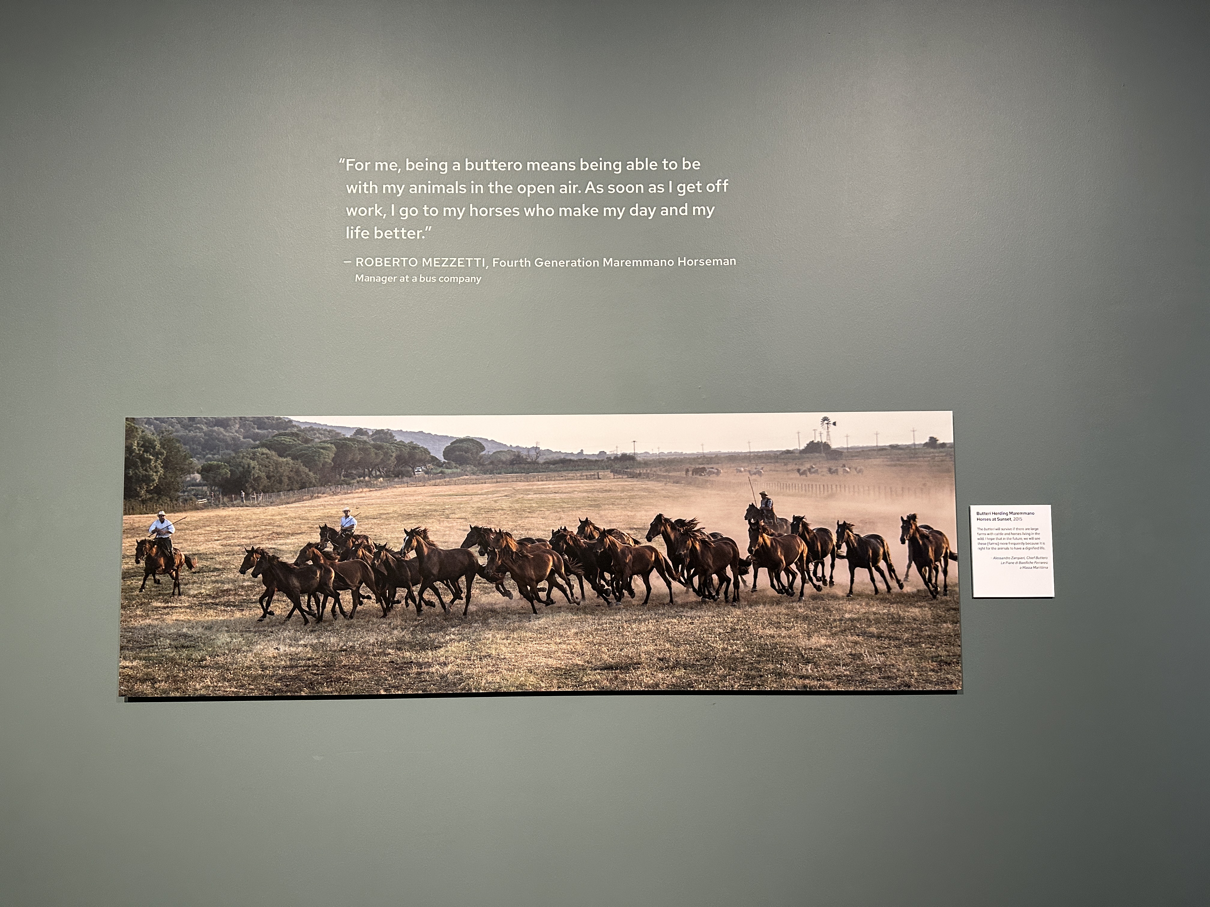 Exhibition Review: Italy’s Legendary Cowboys of the Maremma – The ...