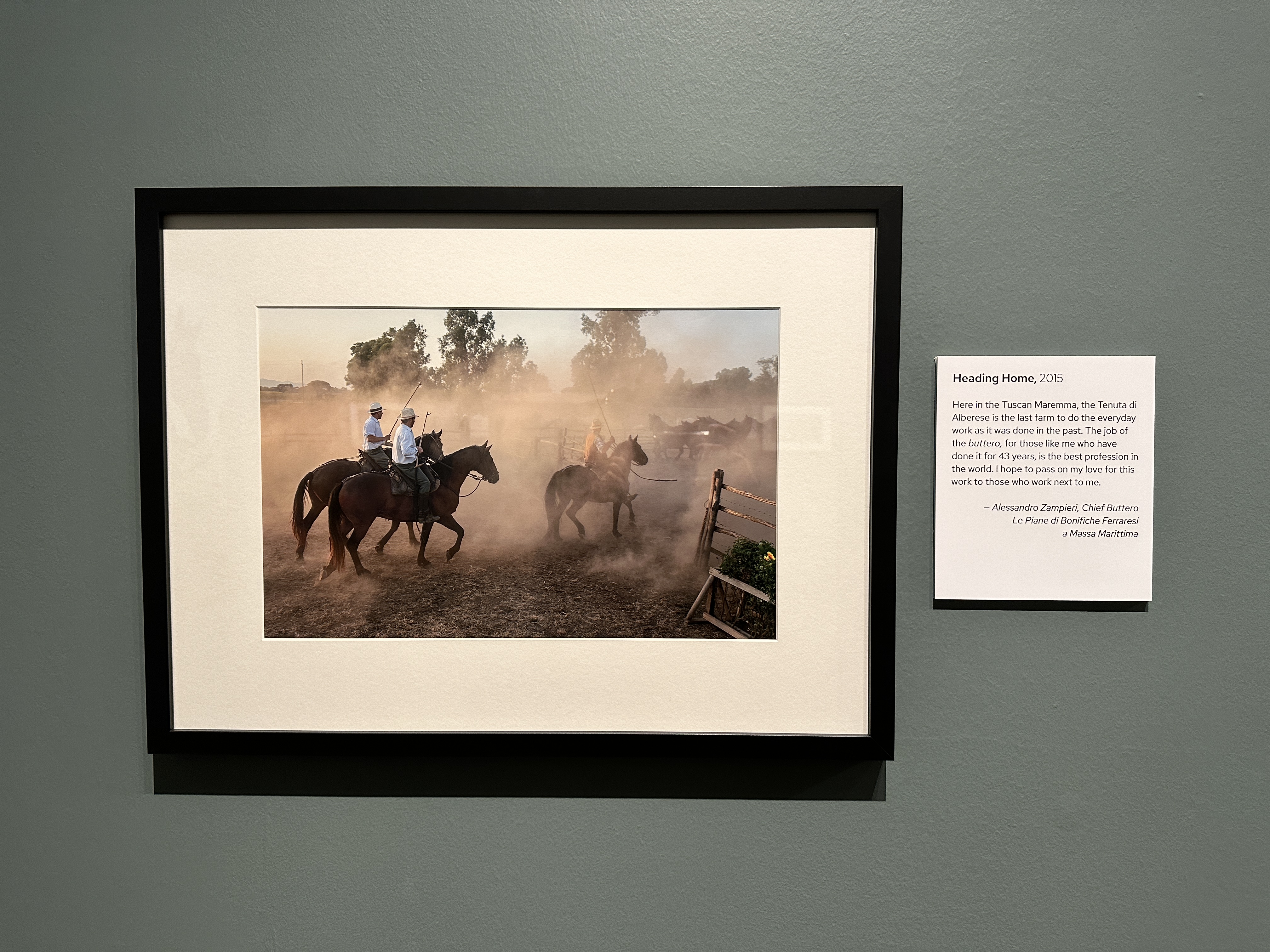Exhibition Review: Italy’s Legendary Cowboys of the Maremma – The ...