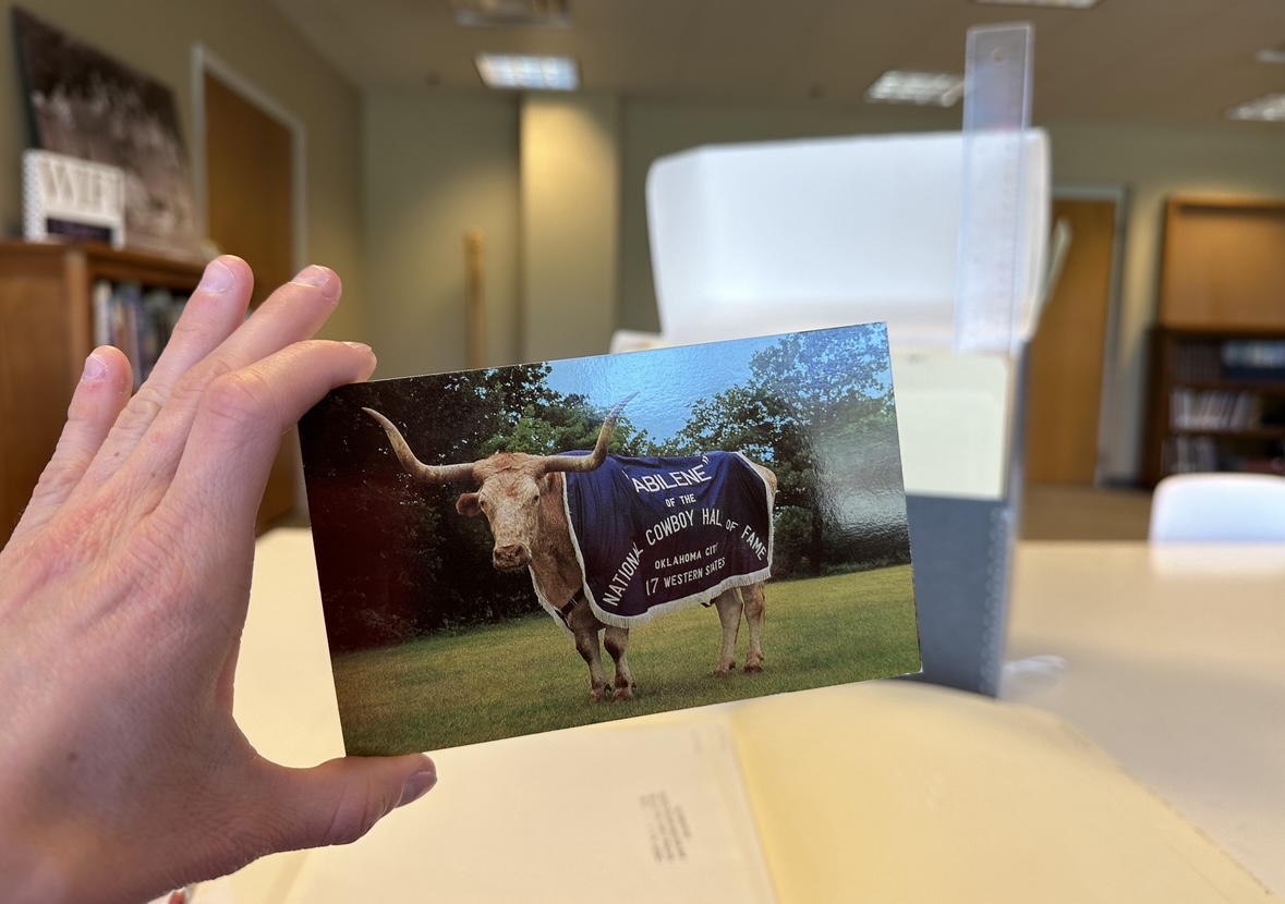 Breaking Trail: Abilene, the Longhorn Mascot of the National Cowboy ...