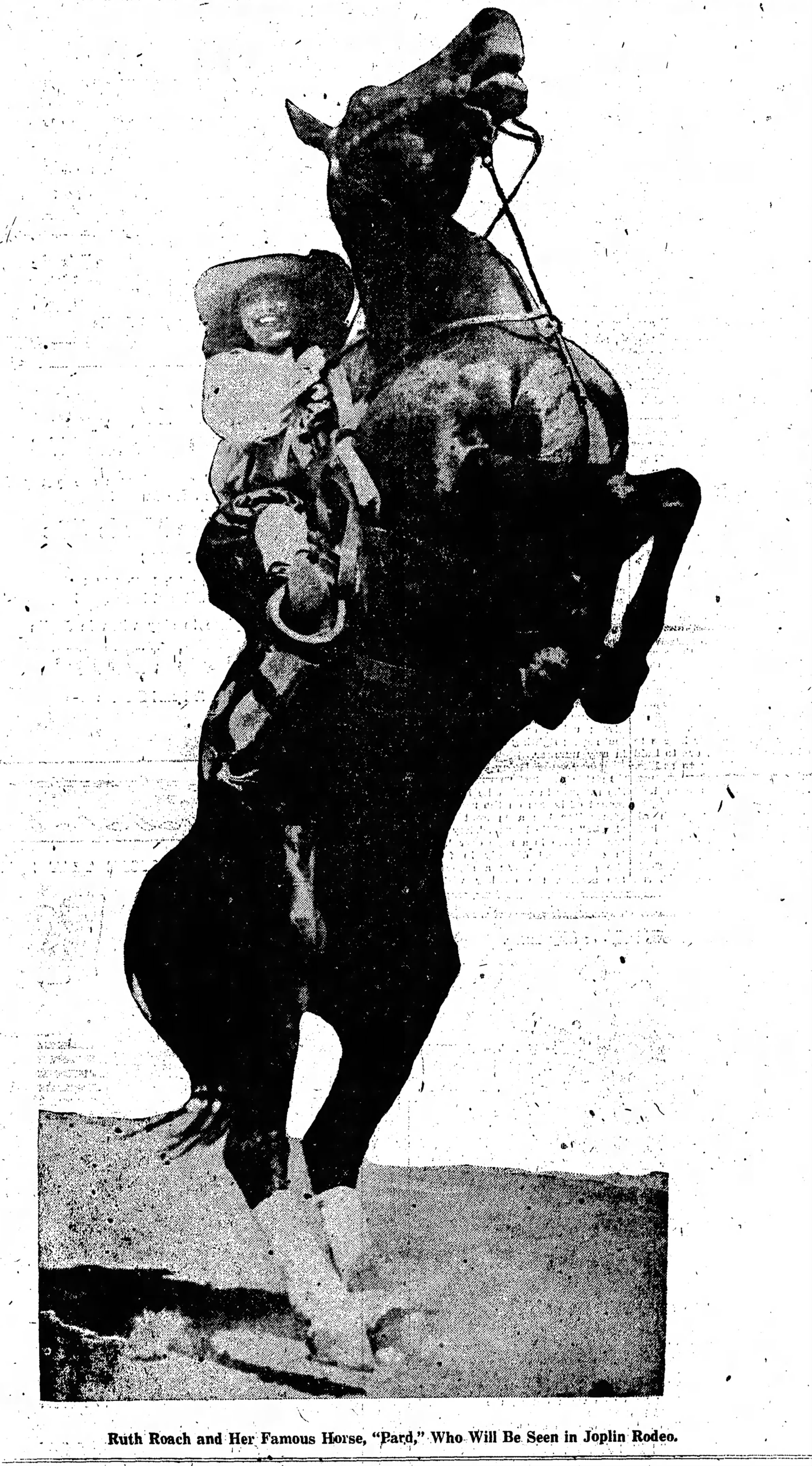 Breaking Trail: Ruth Roach – The Active Historian