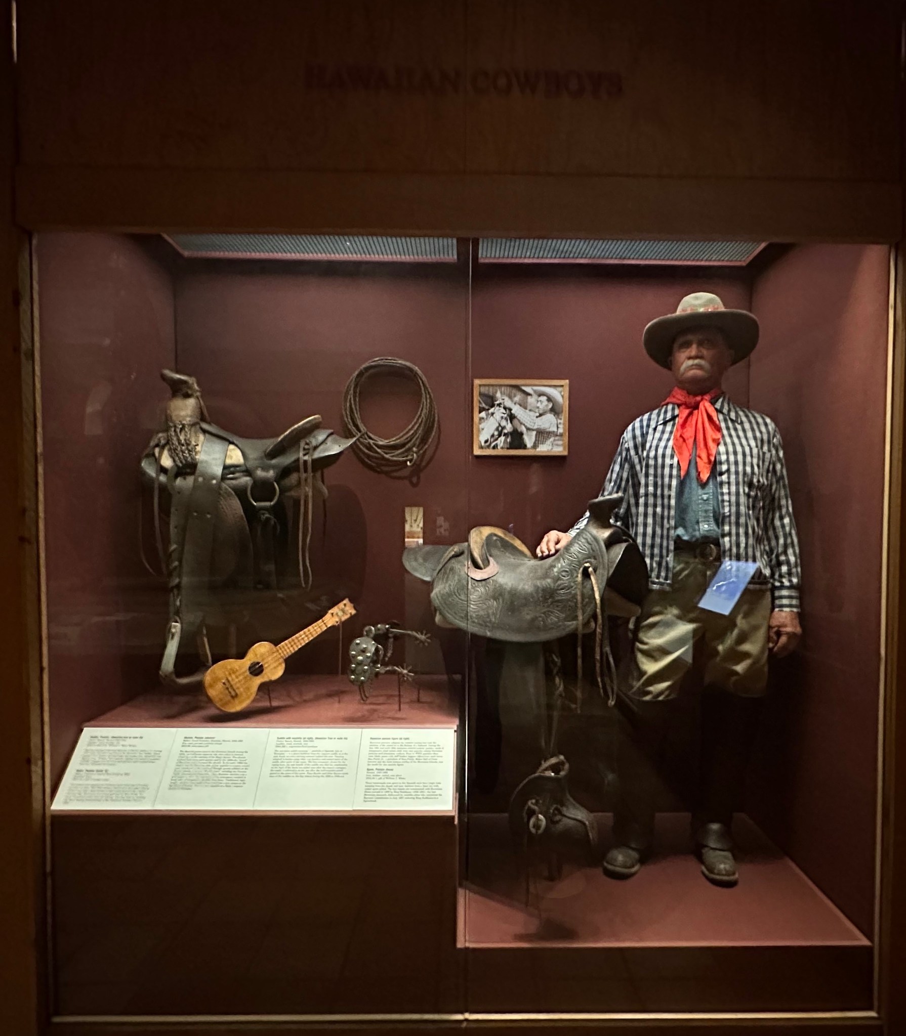 Breaking Trail: Ikua Purdy – The Active Historian